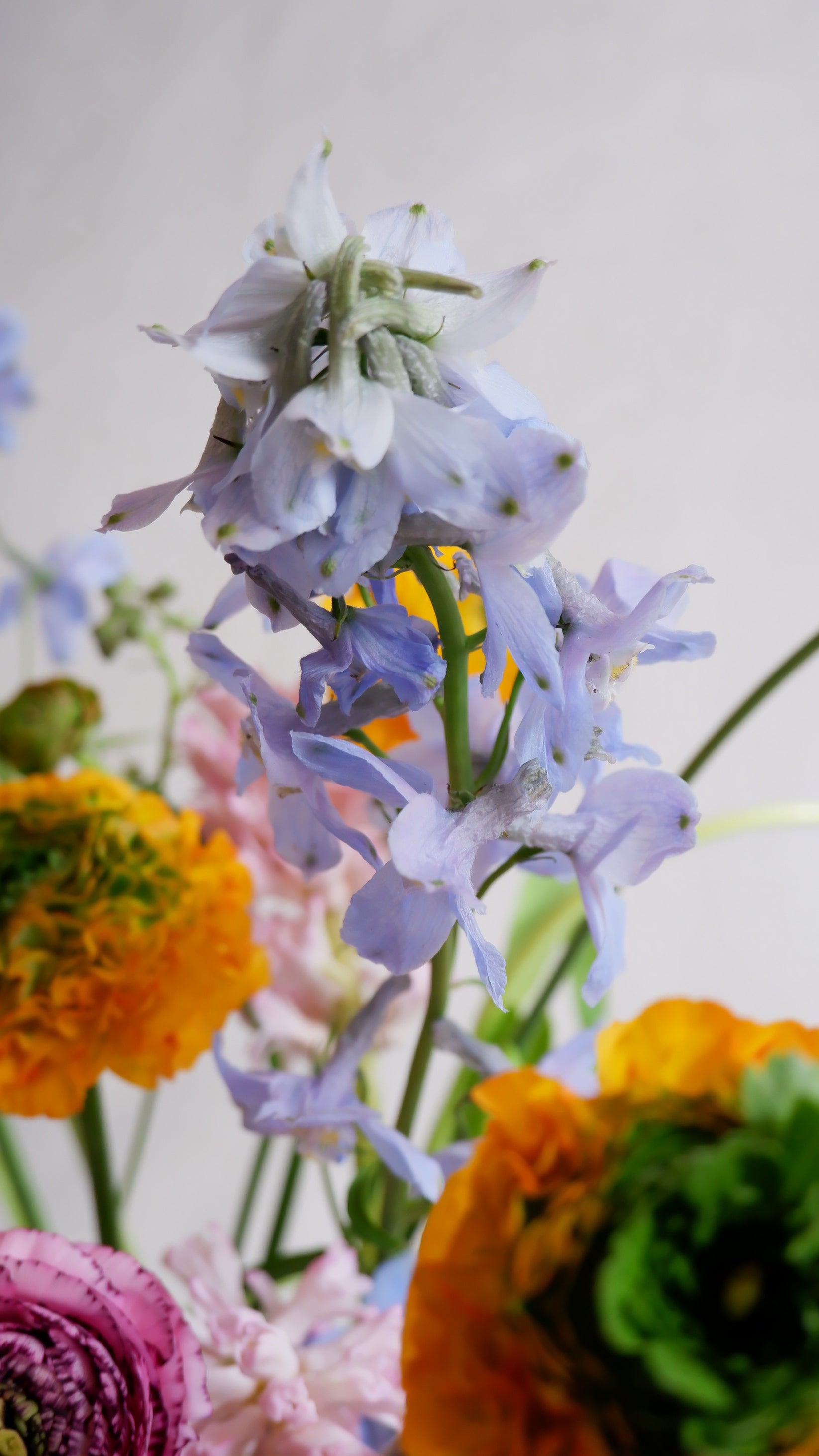 Mary Mary Florals - Independent Florist In Liverpool